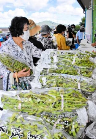 待ってました黒枝豆販売解禁日決まる 丹波篠山特産大粒で甘み 美味しんぼに登場全国区に おでかけトピック 兵庫おでかけ