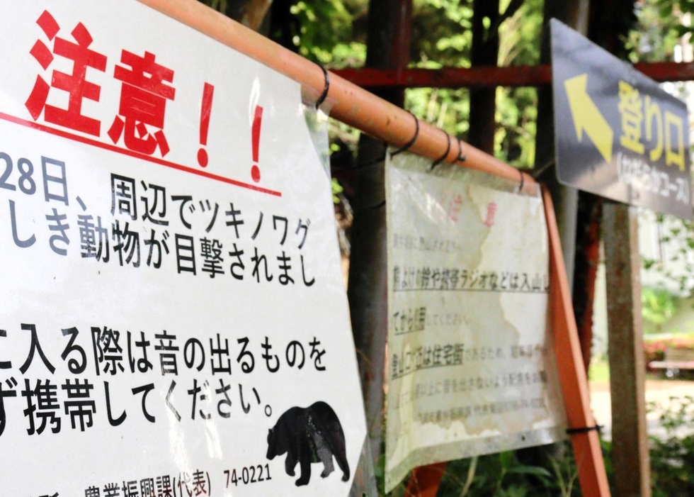 クマ目撃情報、丹波地域でも 山登りイベントが中止に 担当者「登山は撃退スプレーなど携行を」|丹波|神戸新聞NEXT